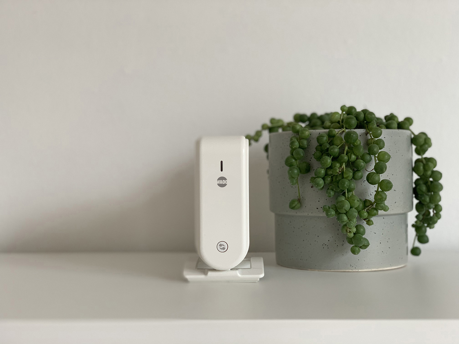 Waoo kommer med det WiFi du altid har drømt om | Se her